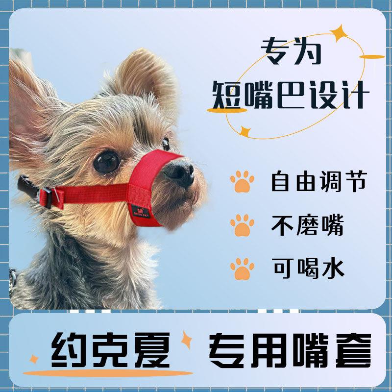约克夏小狗狗专用嘴套外出防乱吃咬人误食防叫护嘴罩口罩小型犬