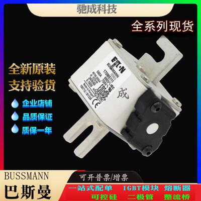 巴斯曼170M5114 170M5115 170M5116 经销价优 快速保险丝