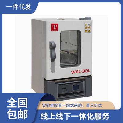 福建总代泰斯特实验室烘箱WGL-30D/45D/65D高温鼓风干燥箱300℃