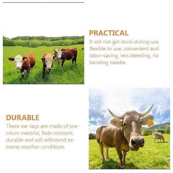100 Pcs Tag Blank Cattle Ear Tags TPU Durable Livestock