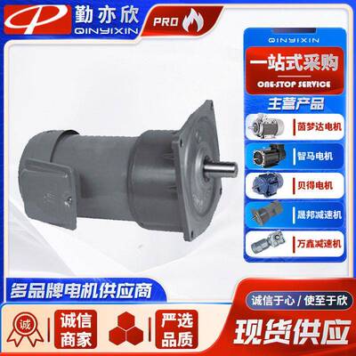 CPG电机晟邦速机CV-100W-50立式附电机交流齿轮速电机