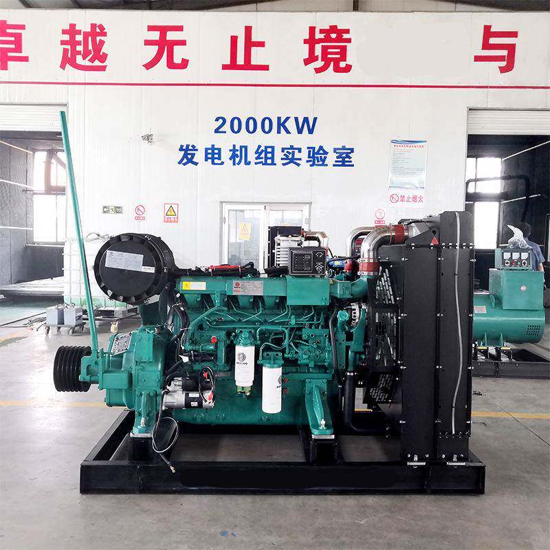 250WK柴固定动力发电机组BC-250GF工地学校备用电源柴油潍发电机