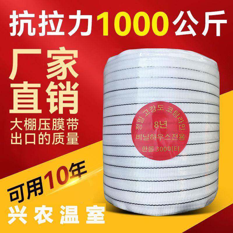 大棚压膜绳加厚压膜带防晒耐磨压膜线白色涤纶绷绳抗老化专用绷带