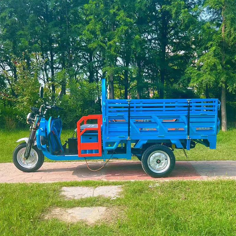 载货货运三轮三车电动三轮车家果园用工程工地载运输动轮力足拉货