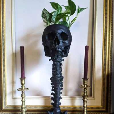 爆款 Skull Planter & Spine Stand Sets 骷髅花盆和脊椎
