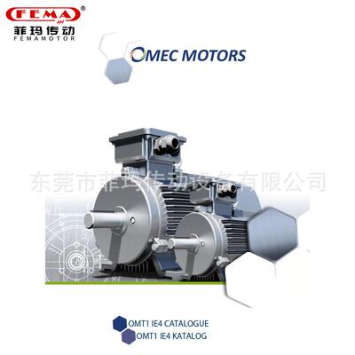 荷兰Omec Motors电动机2.2KW-230KW/高压电动机/OMT4 0.37KW