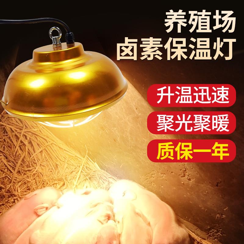 保温灯灯罩猪用养殖取暖灯仔猪保温灯罩养殖场取暖设备卤素保温灯