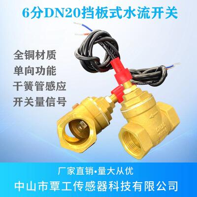 全铜6分DN20开关量信号流量开关水流控制挡板式干簧管感应传感器