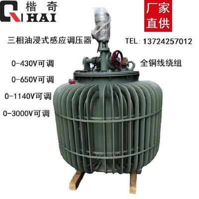 0-650V690V800V电压可调油浸式调压器TSJA三相125KVA感应调压器