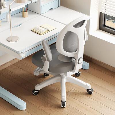 学F08书桌习椅青少年初高中小学生专用写字椅家用椅子可升久坐护