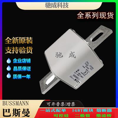 巴斯曼170M6690 170M6691 170M6692 厂家原装优价供应 原装熔断器