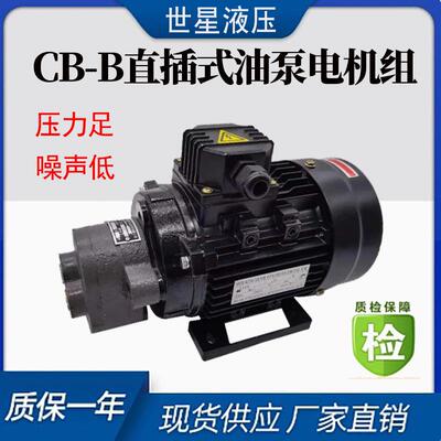 液压油泵电机组CB-B100.55W液压泵总成内轴电机液压站配件系统