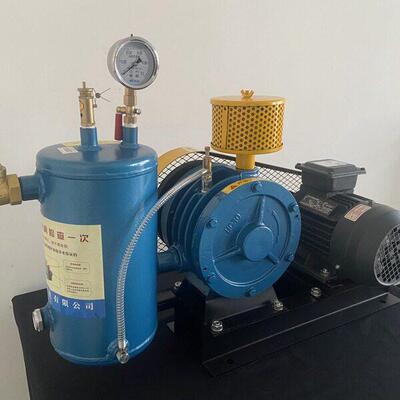 GHH-30S回转式鼓风机大风量农村污水处理曝气回转风机效大功率