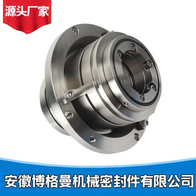 压力筛机械密封 LP-D-SA-D4S1机械密封安徽博格曼机械密封