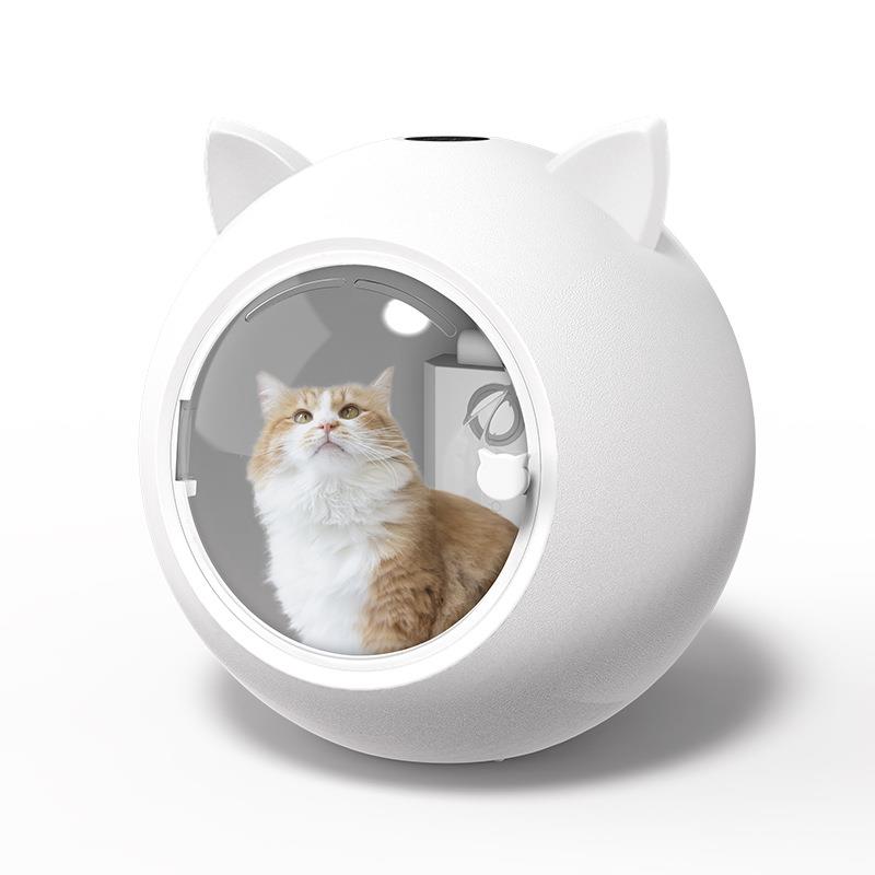 宠物全自动狗猫咪烘干吹水机家用洗澡智能烘干箱