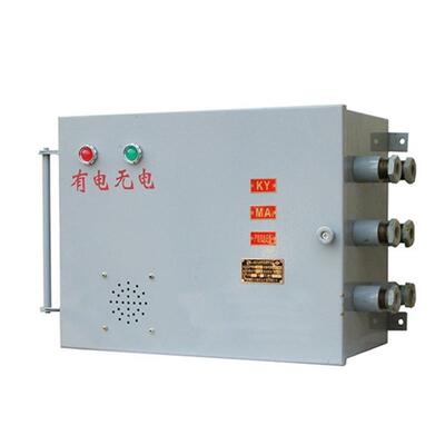 矿用一般型自动停送电开关 性能稳定 矿用一般型自动停送电开关