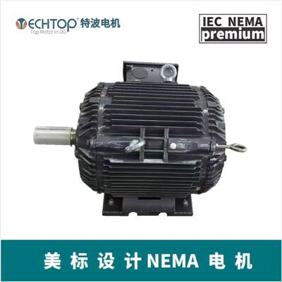 TECHTOP特波冷水塔电机风冷电机NEMA/IEC标准超高效电机IP56