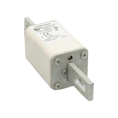 优惠 170M3461 170M3462现货 低压快速熔断器型号齐全 标准封装