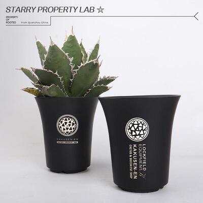 142新潮根植物龙舌兰龟壳龙根Srl陶瓷手工花盆附近