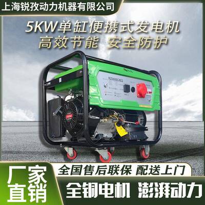 9KW汽油发电机230V单相等功率电启动家用汽油发电机组RZ12000CXE
