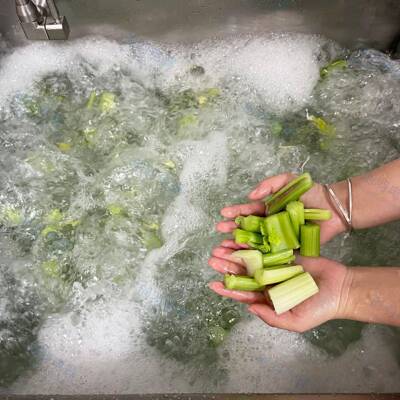 商用食堂鼓泡清洗机 芹菜段上海青无损气泡臭氧多功能洗菜机