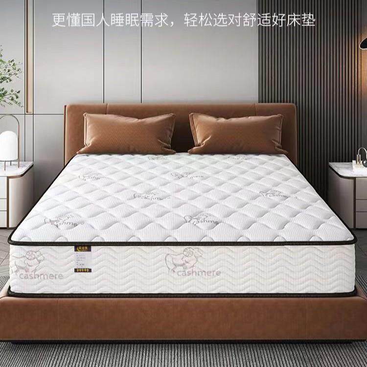 席梦思弹簧床垫经济型20CM厚家用弹簧乳胶椰棕软硬两用