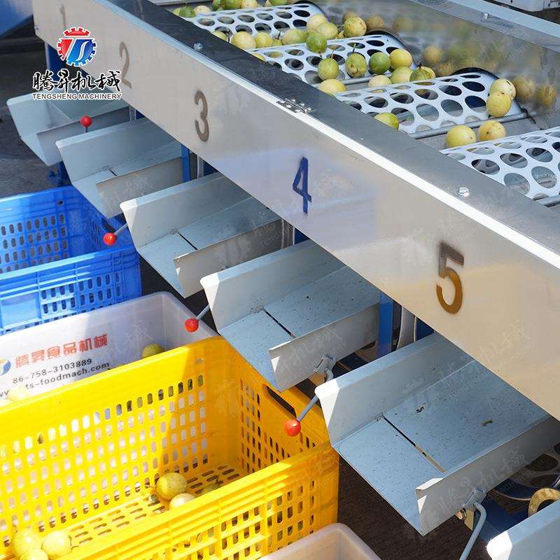 农产品挑选台 水果分拣选果机 果蔬水果分选机 柑橘分级机不伤果