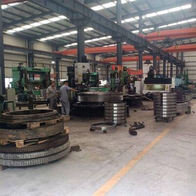 021.50.5205 回转支撑 大型回转支承 转盘轴承 挖掘机 起重机轴承