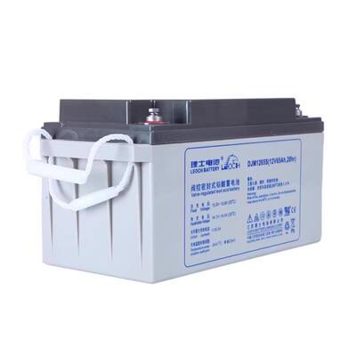 LEOCH理士电池DJM1265S 12V65AH