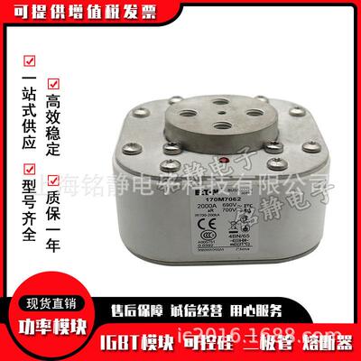 10M708170M07791770M77080170M7081170M7083巴斯曼熔断器现货170M