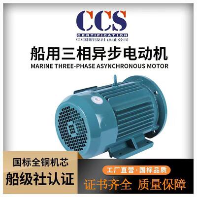 CCS船用普通电机YE3-90S-4-H1.1WIP56三相异步电动机厂家直营