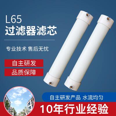 精密过滤器厂家淼飞蓝诚优纯前处理滤芯 PP预处理柱L65精密过滤器