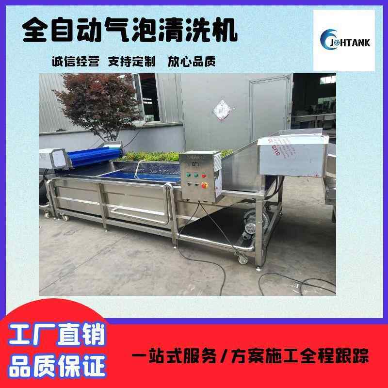 商用果蔬菜鼓泡翻浪清洗环设清备净菜洗果机水循喷淋QXJ-5000大枣