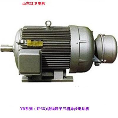 山东厂家直供YR180-6/15WYR系列绕线转子三相异步电动机质保