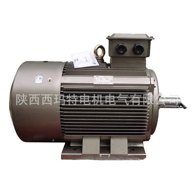 西安 西电玛机YE5315-SI-2极110KW一级能效EYE5-315S5交流三相异