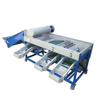 新款大蒜独头蒜洋葱分级机耗电低分选精准