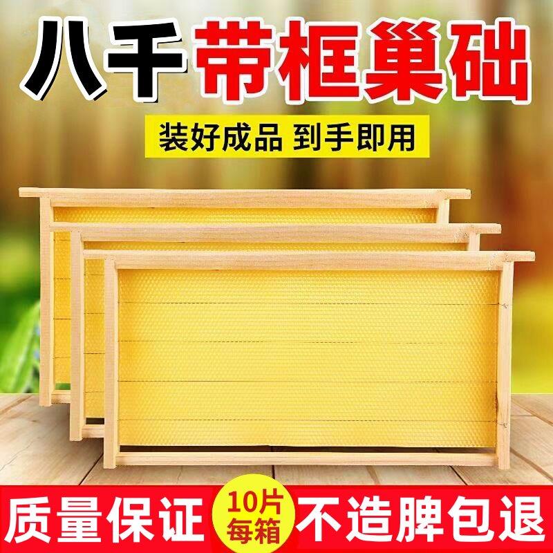 八千巢础中蜂带框蜂巢成品巢框意蜂巢脾养蜂工具蜜蜂蜂箱专用巢基
