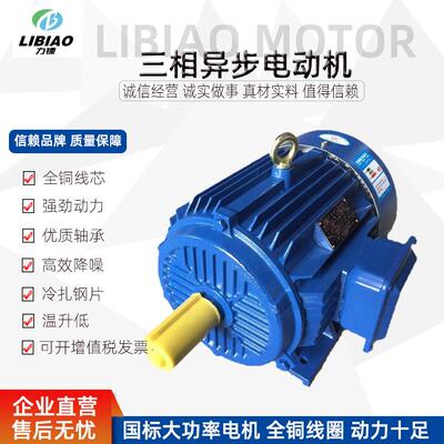 8级现货大功率电动机Y系列132/160/185/200/220W380V机械电机