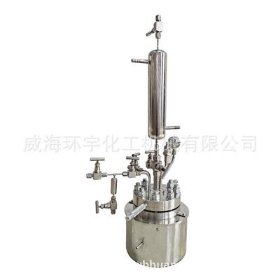 供GSH1L耐高温高压应釜加热应磁反应子搅拌反釜