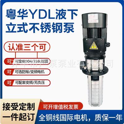 YDL24不锈钢液下立式多级工业车床，麻床泵切削液泵机加工泵