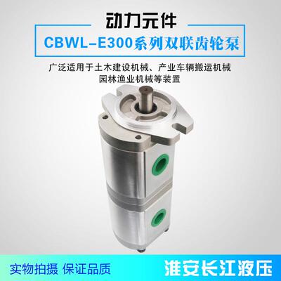 CBWL-F300系列（CBW)双联齿轮泵高效液压齿轮油泵厂家直发长江液