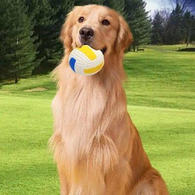 Dog Squeaky Teething Ball Funny Puppy Teeth Cleaning Sound