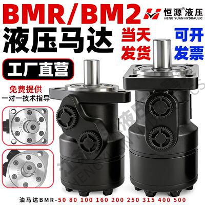 油马达BMR-50 80 100 160 200 250 315 400 500模具液压摆线马达