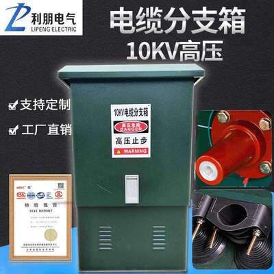 10KV电缆分支箱不锈钢欧式高压电缆分支箱户外dfw一进二出分接箱