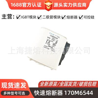 170M6544170M6546170M6548低压熔断器电子元器件库存充足