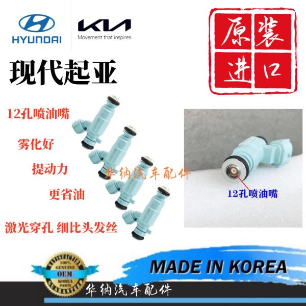 现代伊兰特瑞纳悦动朗动赛拉图福瑞迪雅绅特K2K3锐欧12孔喷油嘴