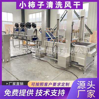 供应哈密瓜气 泡洗机西瓜清洗机气设备 小柿子JNJ泡清洗机设备厂