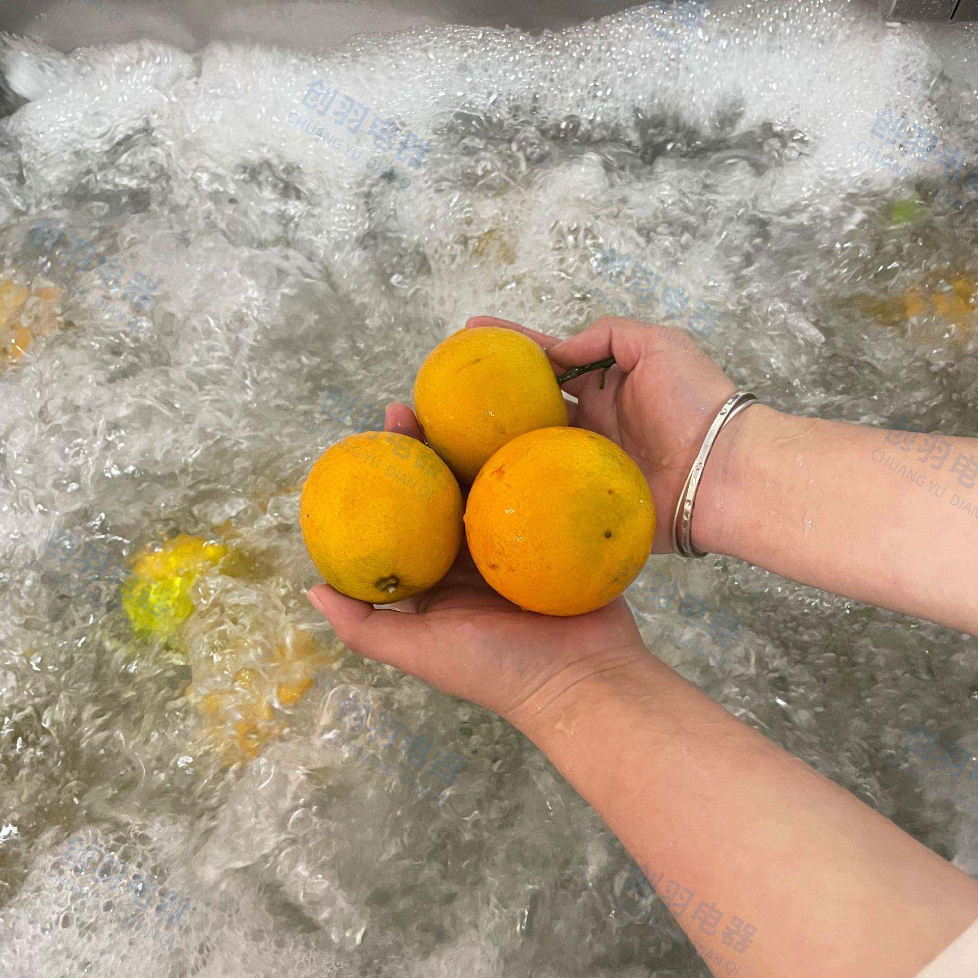优选水果洗果机超声波单缸气泡清洗机小油菜土豆木耳洗菜机