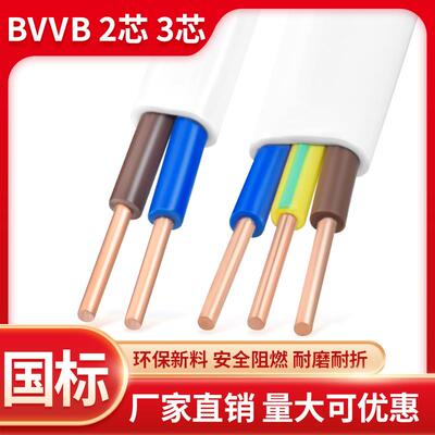 国标纯铜BVVB护套线2芯3芯1 1.5 2.5平方白色平行家用电源硬电线