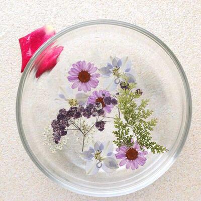 81Pcs Pressed Dried Flowers Set Real Natural Plant Pressed